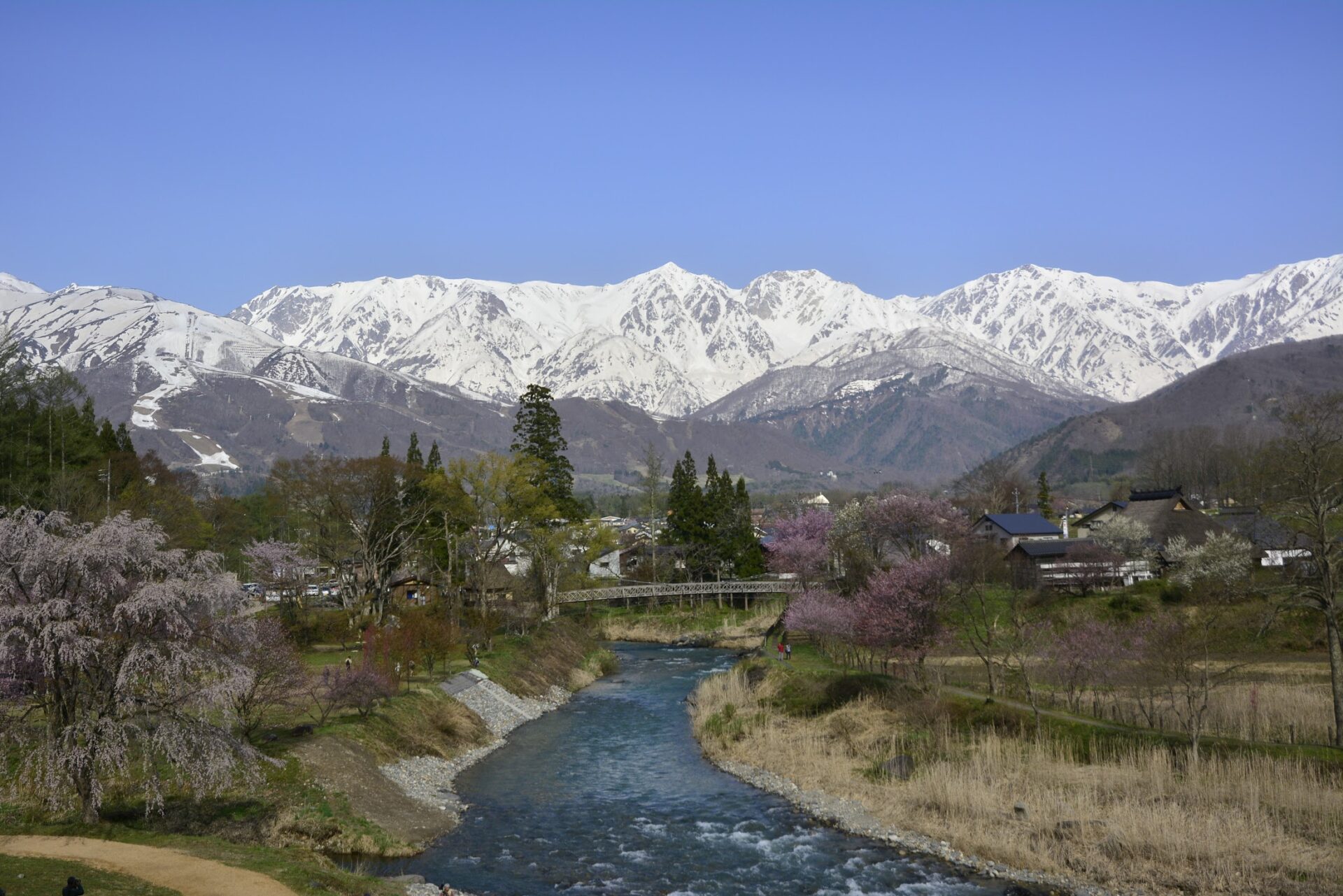 Oide Park | Hakuba Cycling - 白馬村サイクリング情報サイト
